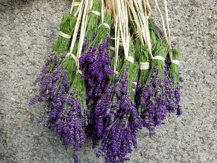 Levandule :: kosistatek